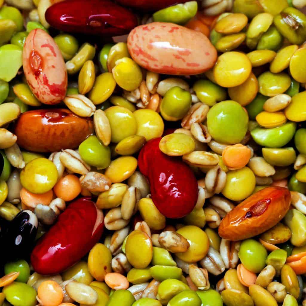 What is The God Diet?