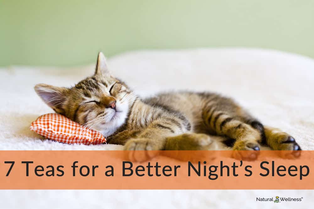 7 Teas for Rest, Relaxation and Sleep
